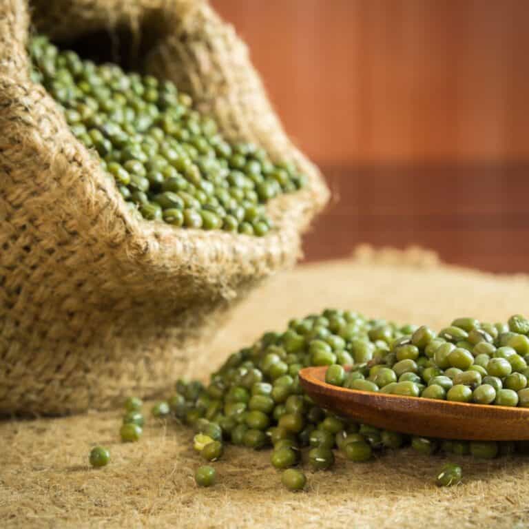 How to Sprout Mung Beans at Home: A Step-by-Step Guide - MyGoodFoodWorld