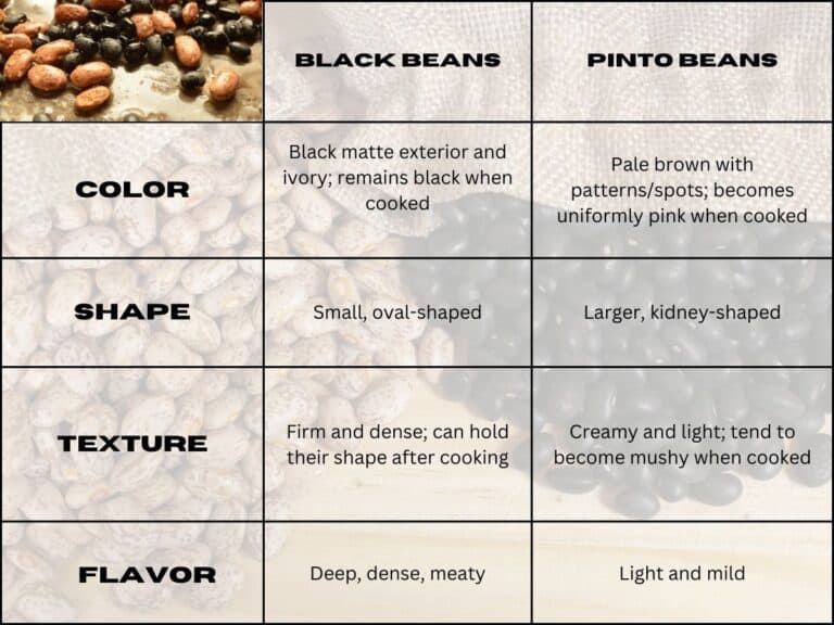 Black Beans vs. Pinto Beans: Which Are The Better Beans?