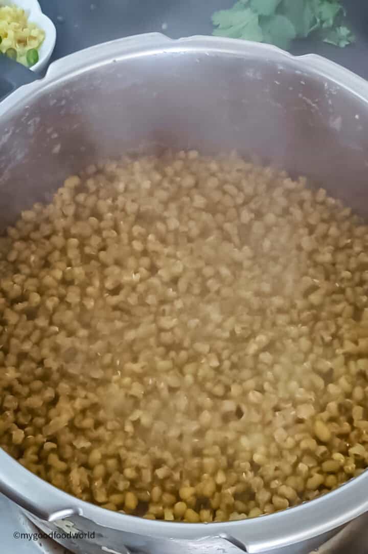 Indian Mung Bean Soup Recipe Without Onion and Garlic