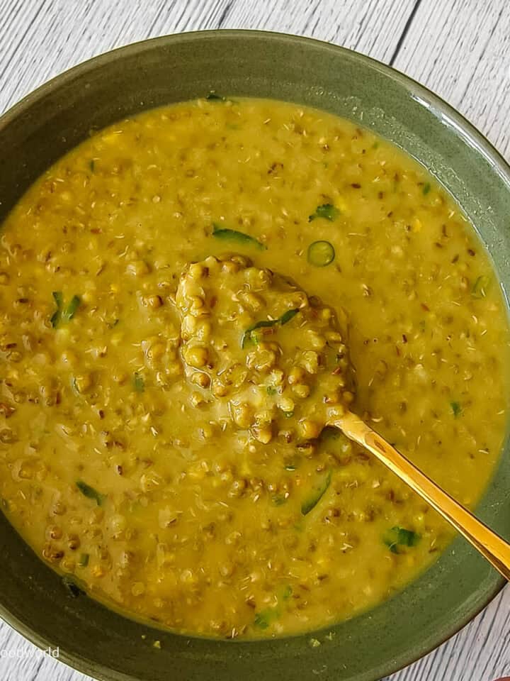 Vegetarian Allium Free Recipes