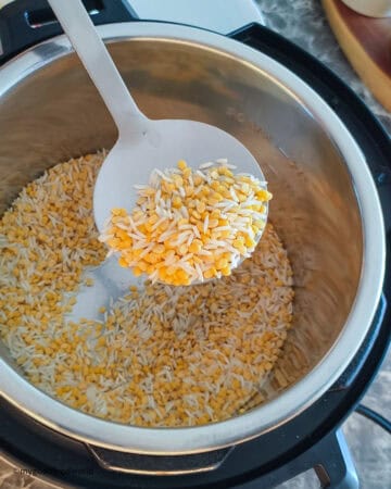 Kitchari Recipe (Instant Pot, Ayurvedic) - MyGoodFoodWorld